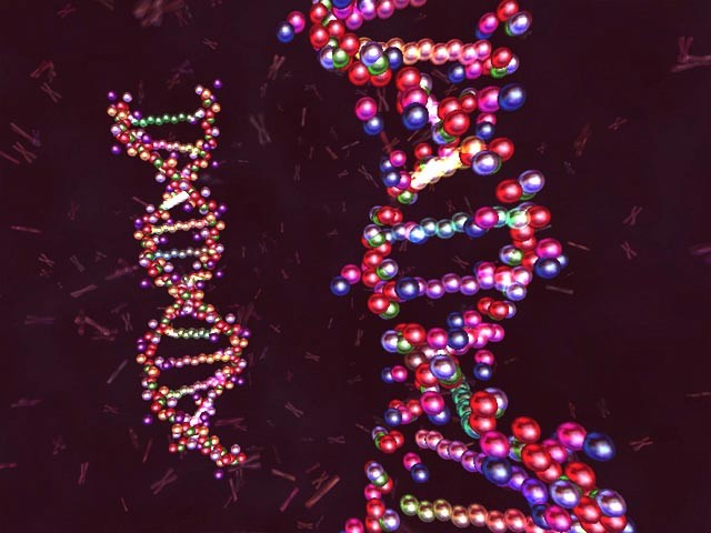 Living Cell 3D Screensaver,cell,DNA,science,living cell,3d screensavers